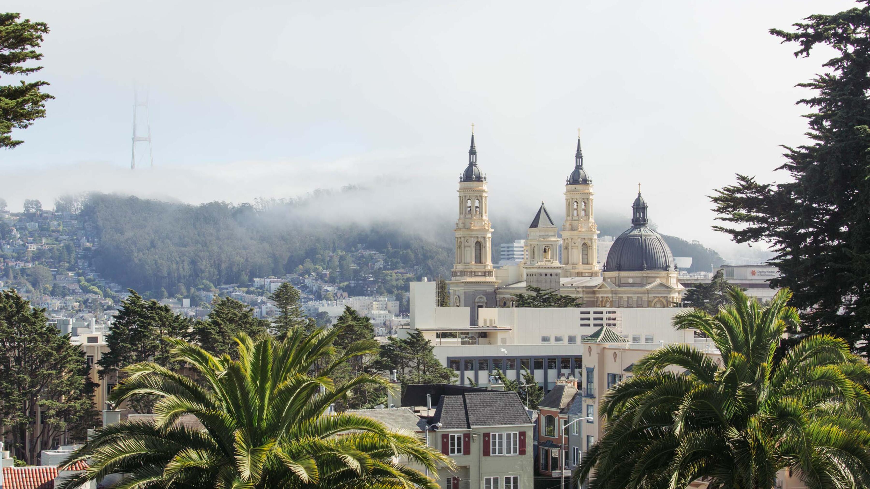 Schools Colleges University Of San Francisco Schools Colleges University Of San Francisco